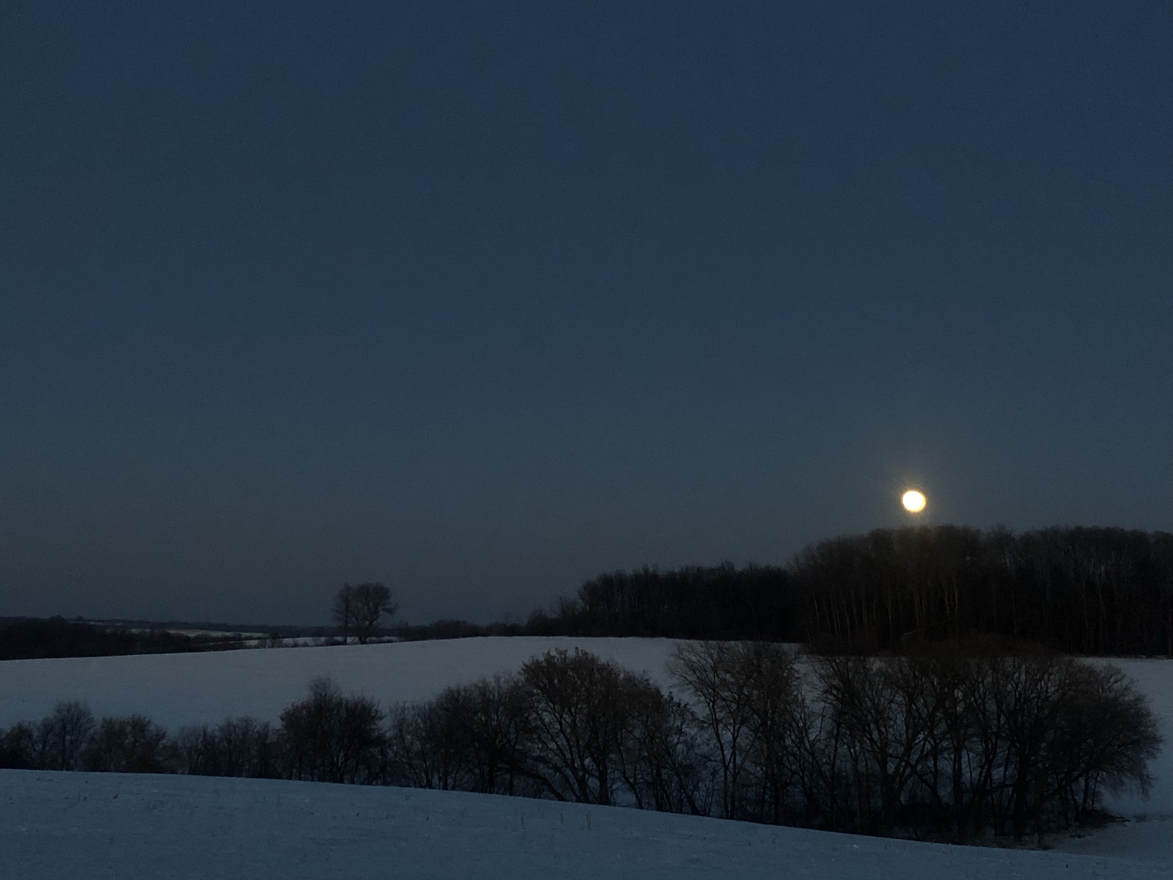 ||winged words|| – A.M. Pine – Hearth Ridge Reflections