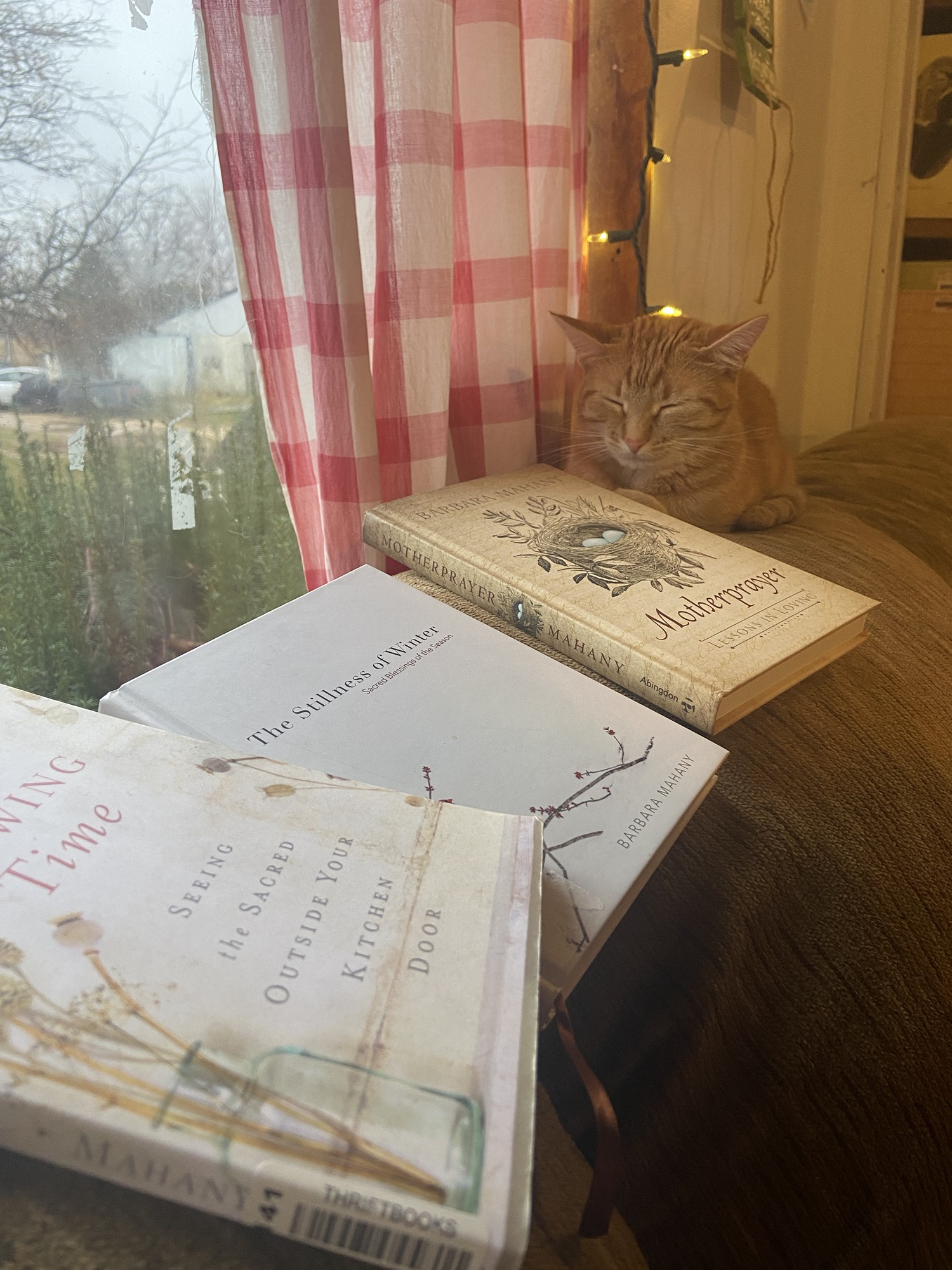 Barbara Mahany {Day 38} – A.M. Pine – Hearth Ridge Reflections